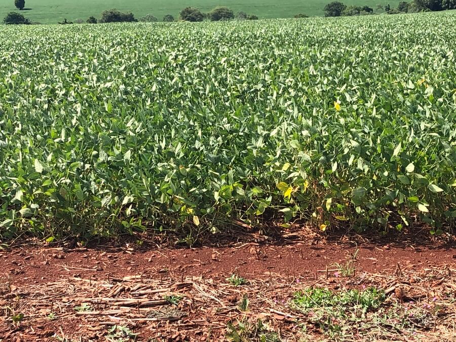 Galeria – Agrotechnica