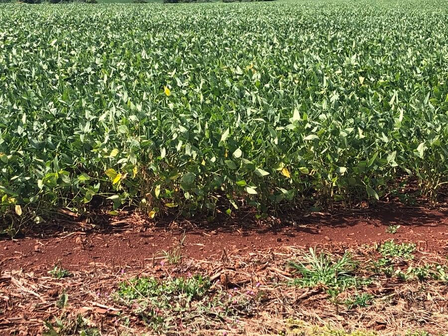 Galeria – Agrotechnica