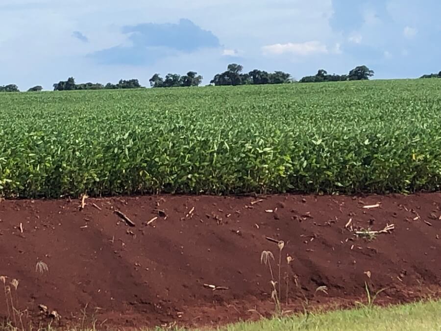 Galeria – Agrotechnica