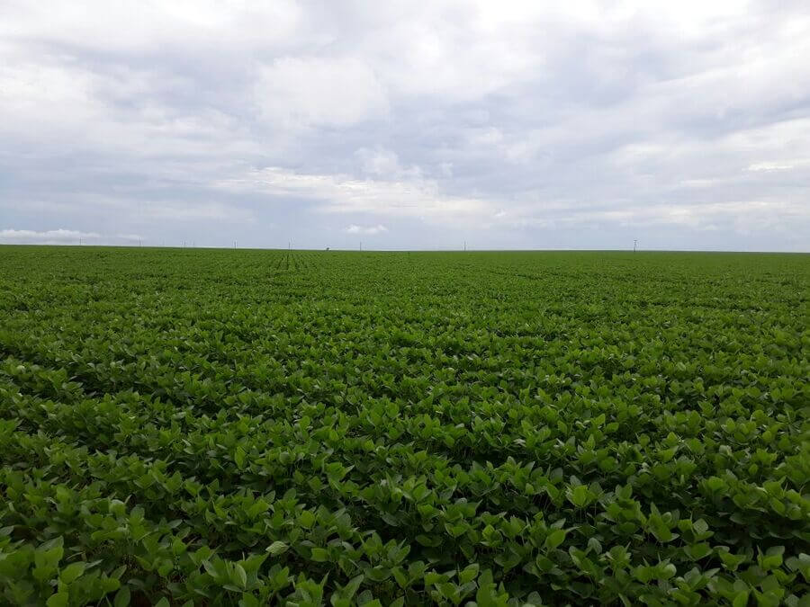 Galeria – Agrotechnica
