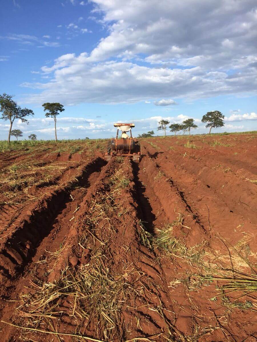Galeria – Agrotechnica