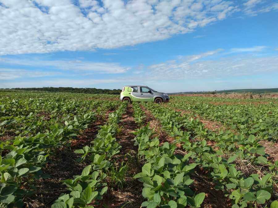 Galeria – Agrotechnica