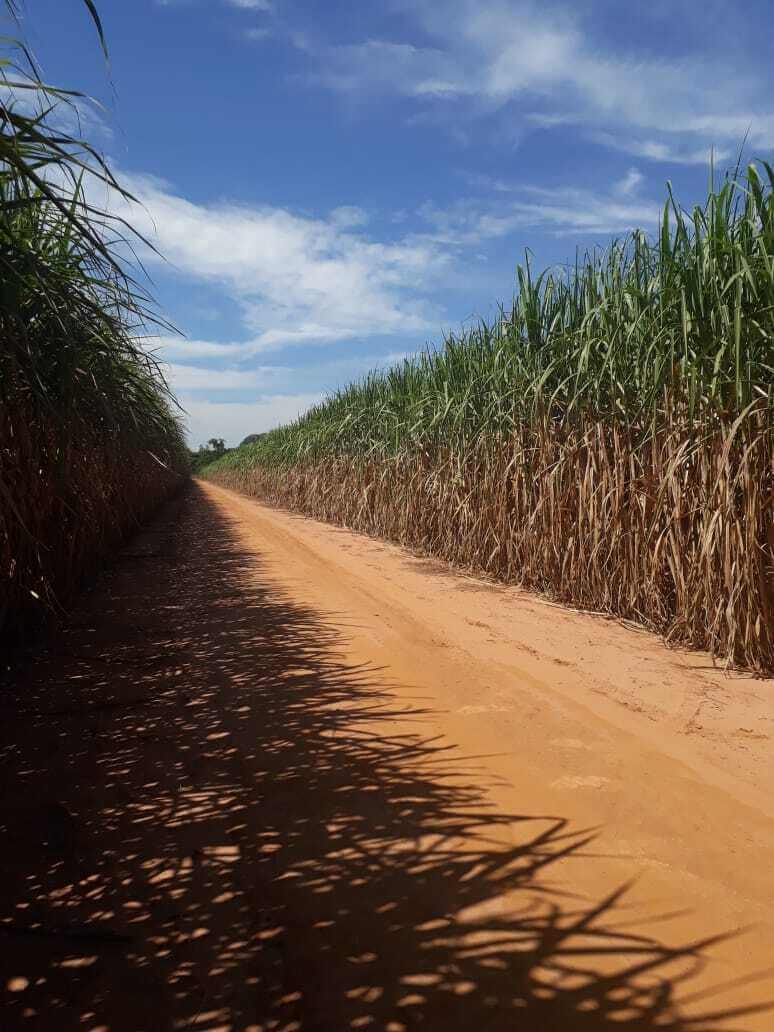 Galeria – Agrotechnica