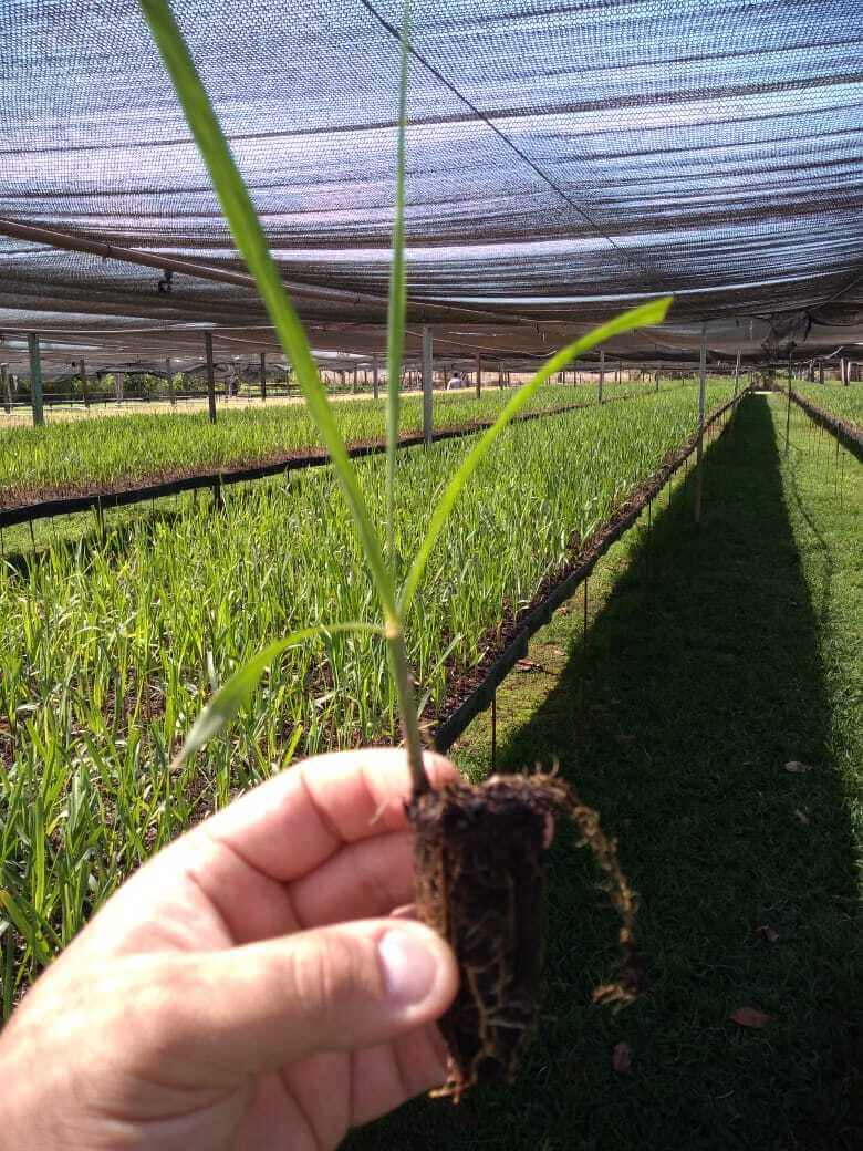 Galeria – Agrotechnica