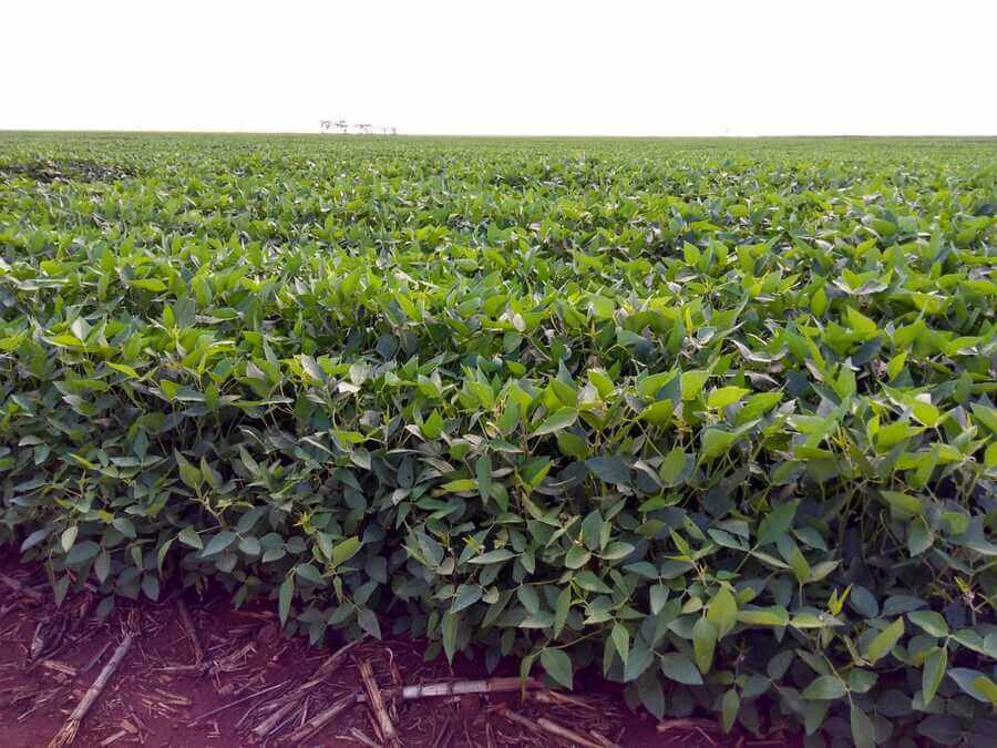 Galeria – Agrotechnica