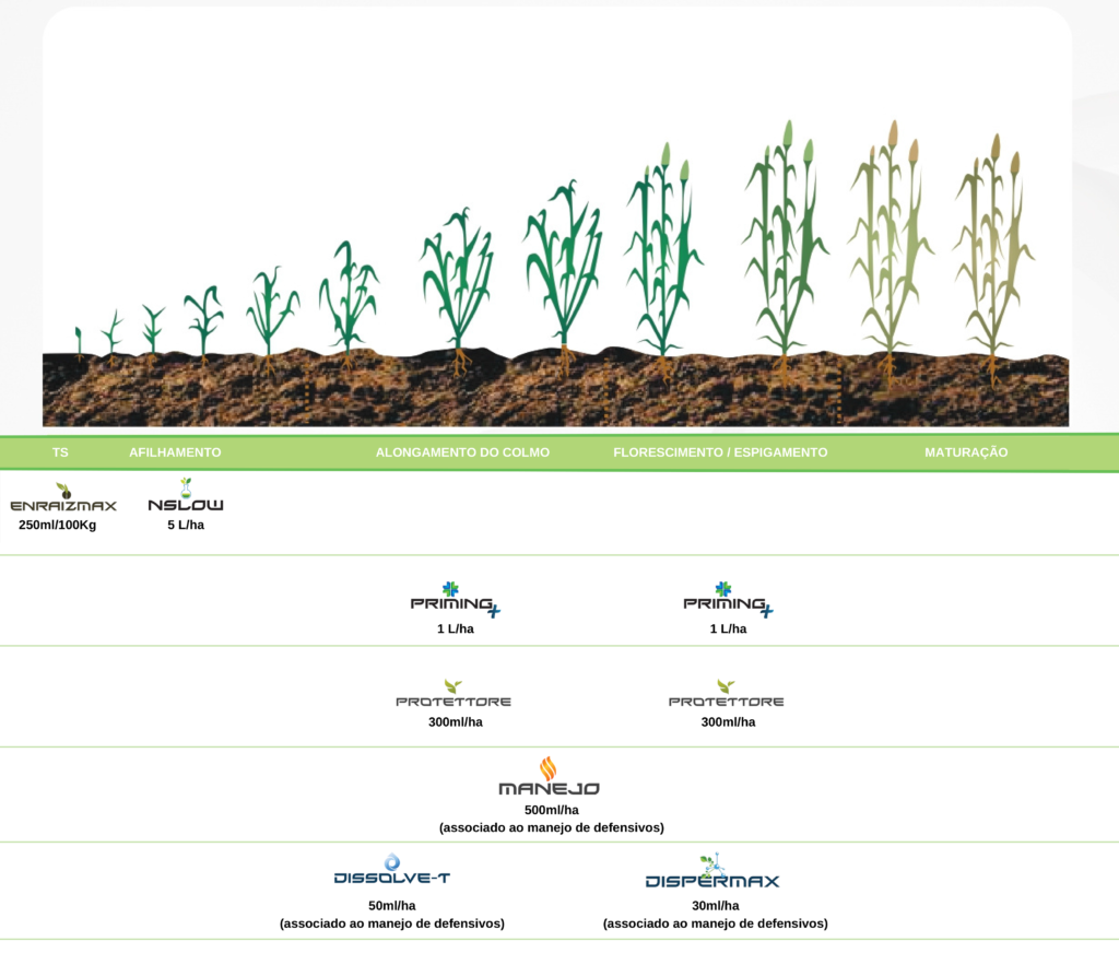 Cultura – Agrotechnica